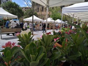 Lore eta landare azoka en Donostia-San Sebastián